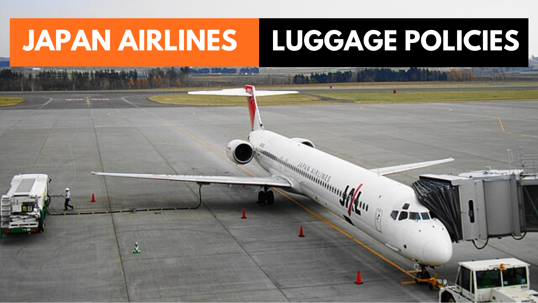 Japan Airlines Baggage Allowance Policy – CABINZERO